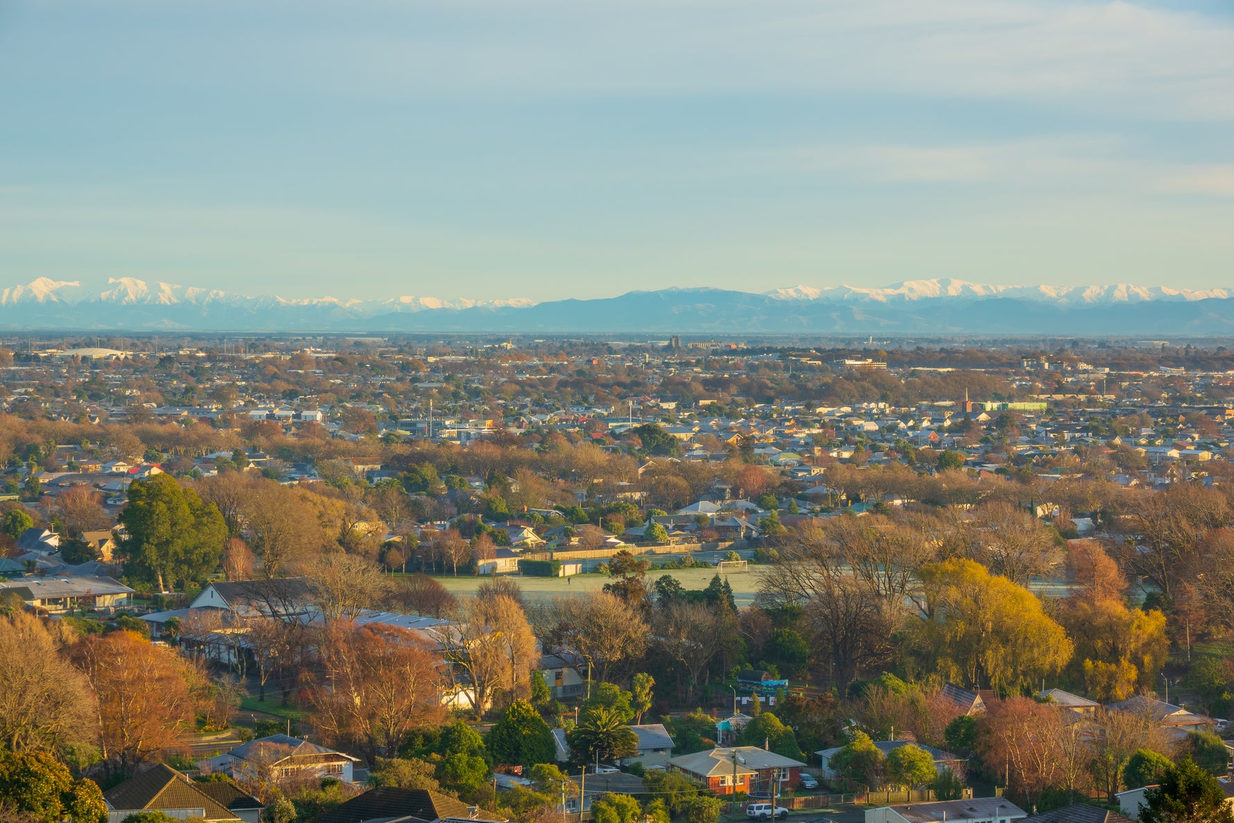 NZ Nature & Wildlife – Sam Davidson Photography & Nature